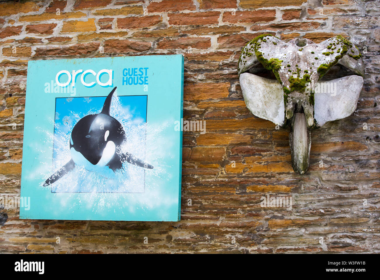 An Orca skull on Orca Guest house in Stromness, Orkney, Scotland, UK ...