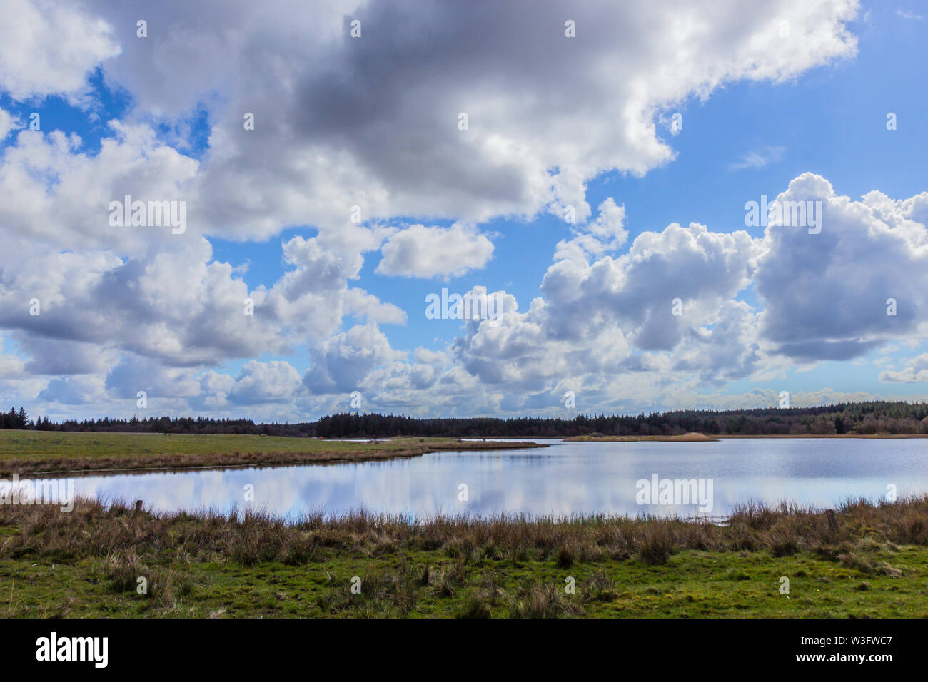 Marbek lake north of Esbjerg, southern Jutland, Denmark Stock Photo - Alamy
