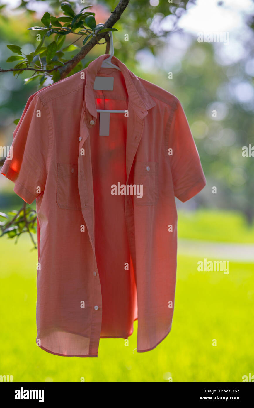 Pink button shirt hanging from a tree branch on a hanger Stock Photo ...