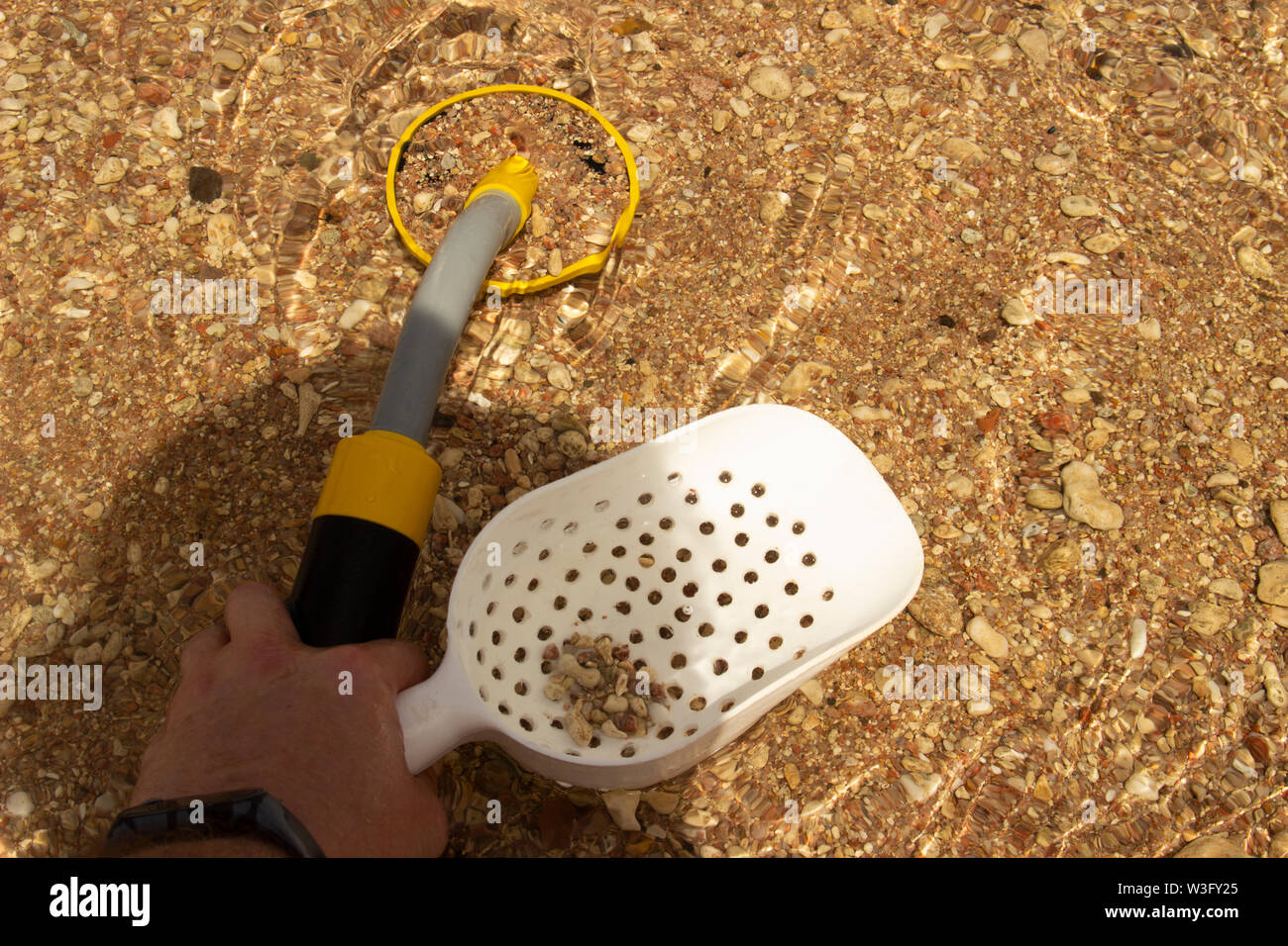 The photo of gold and silver coins collected with help of underwater ...