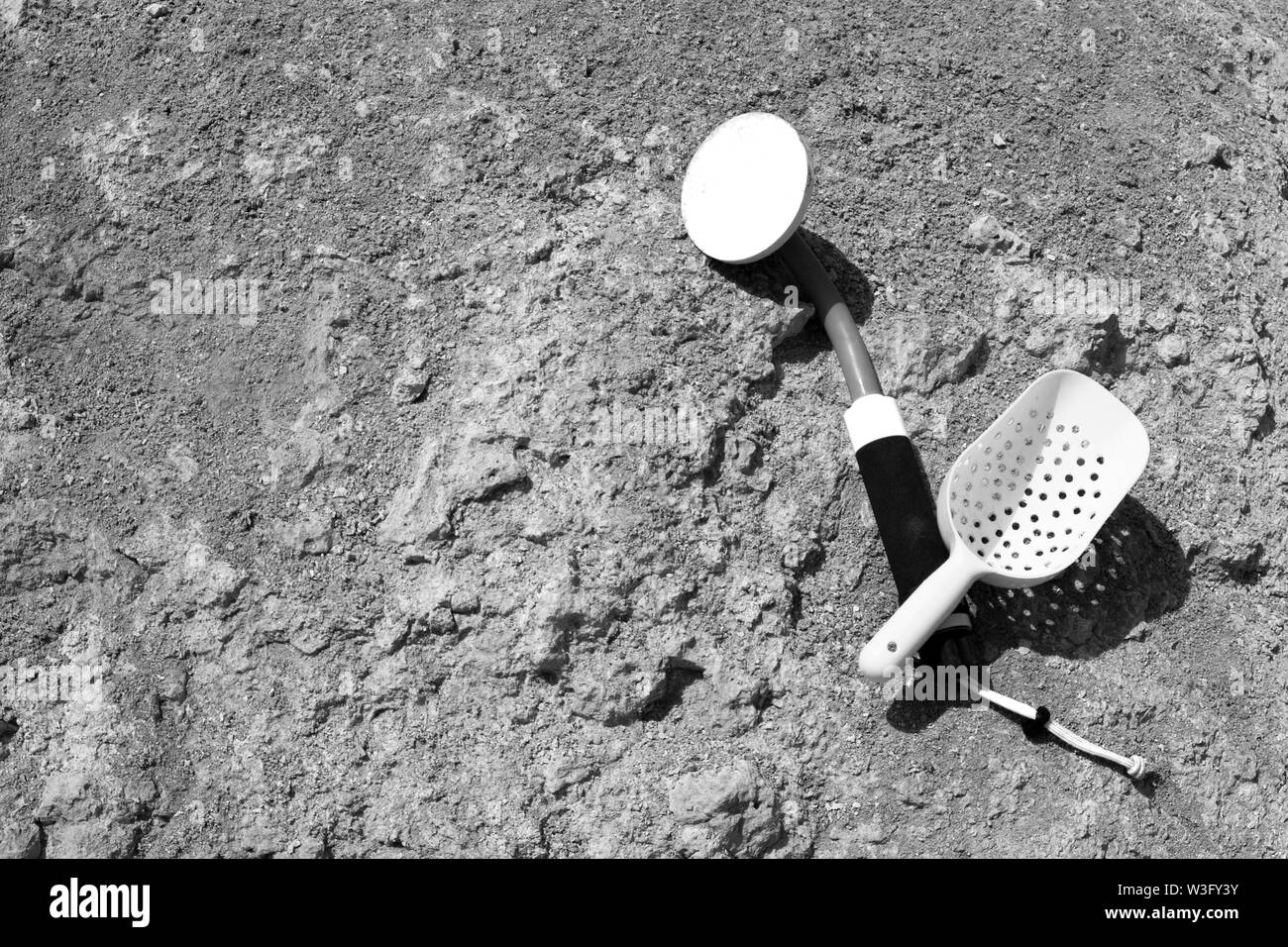 The photo of gold and silver coins collected with help of underwater ...