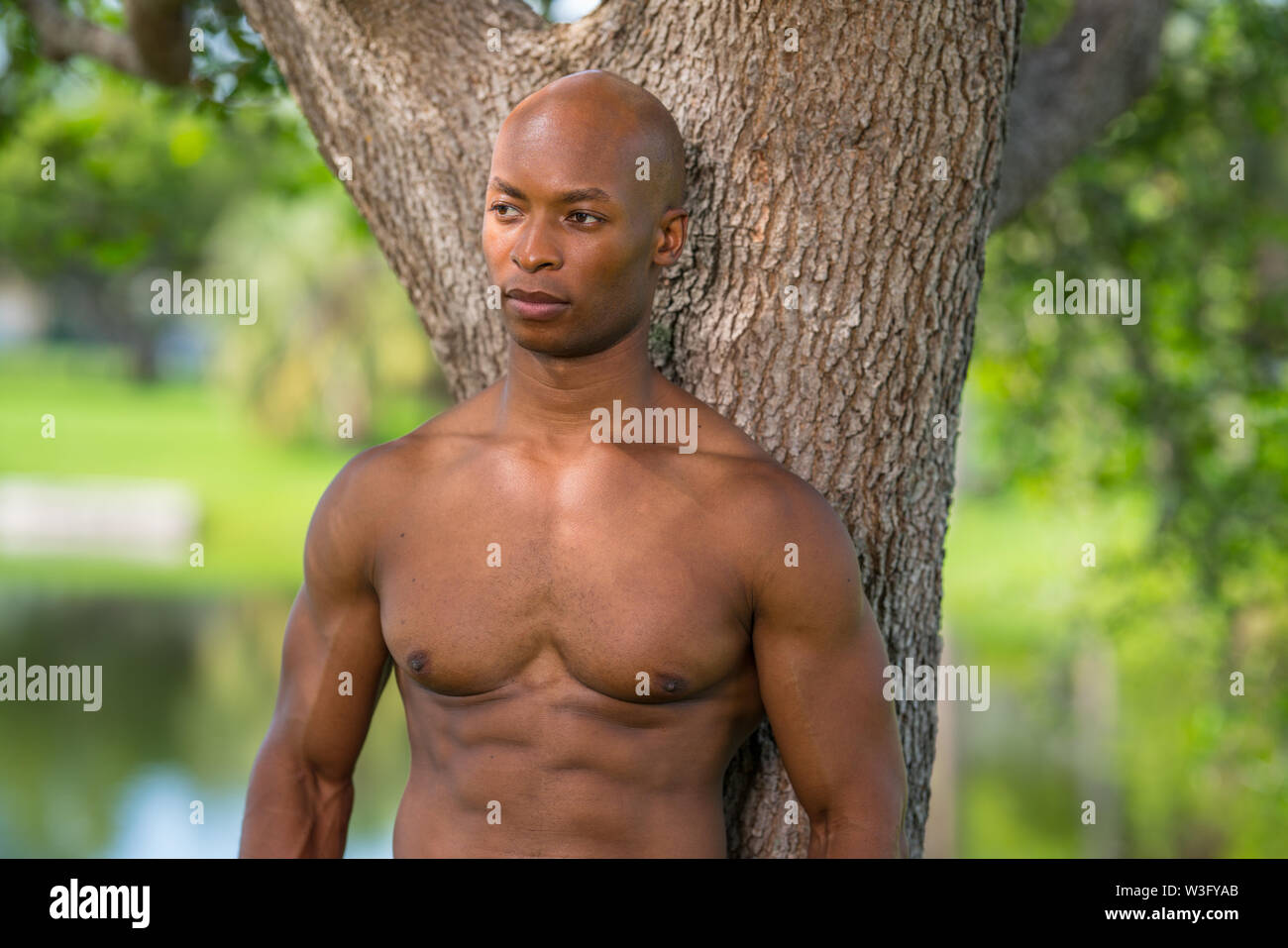 Portrait of a shirtless fitness model posing by a tree in the park ...