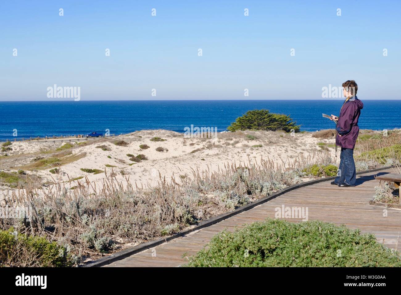 Woman listening to educational audio tape on boardwalk pathway, coastal ...