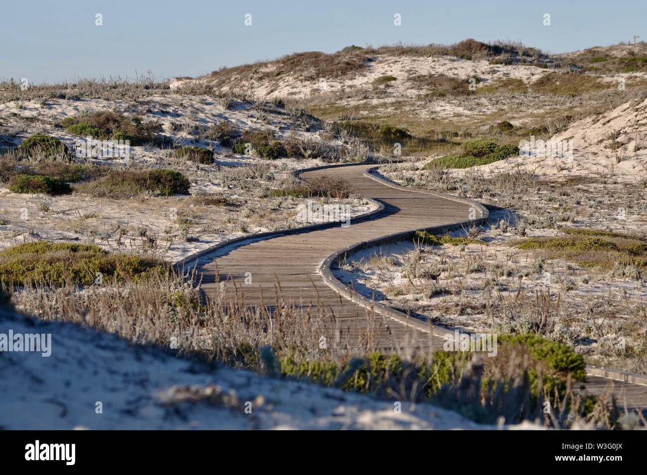 Wooden, wavy, s-shaped boardwalk path above fragile dune ecosystem at ...