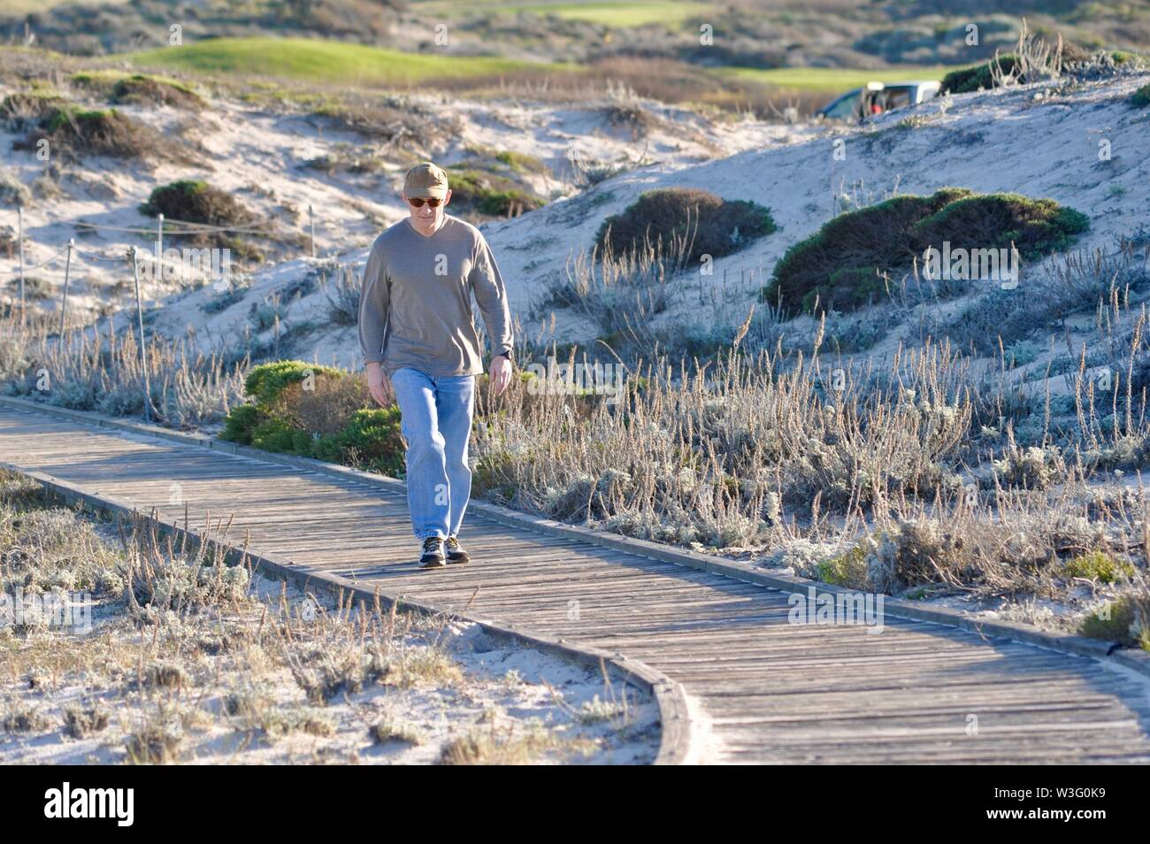 Boardwalk pathway at asilomar conference center hi-res stock ...