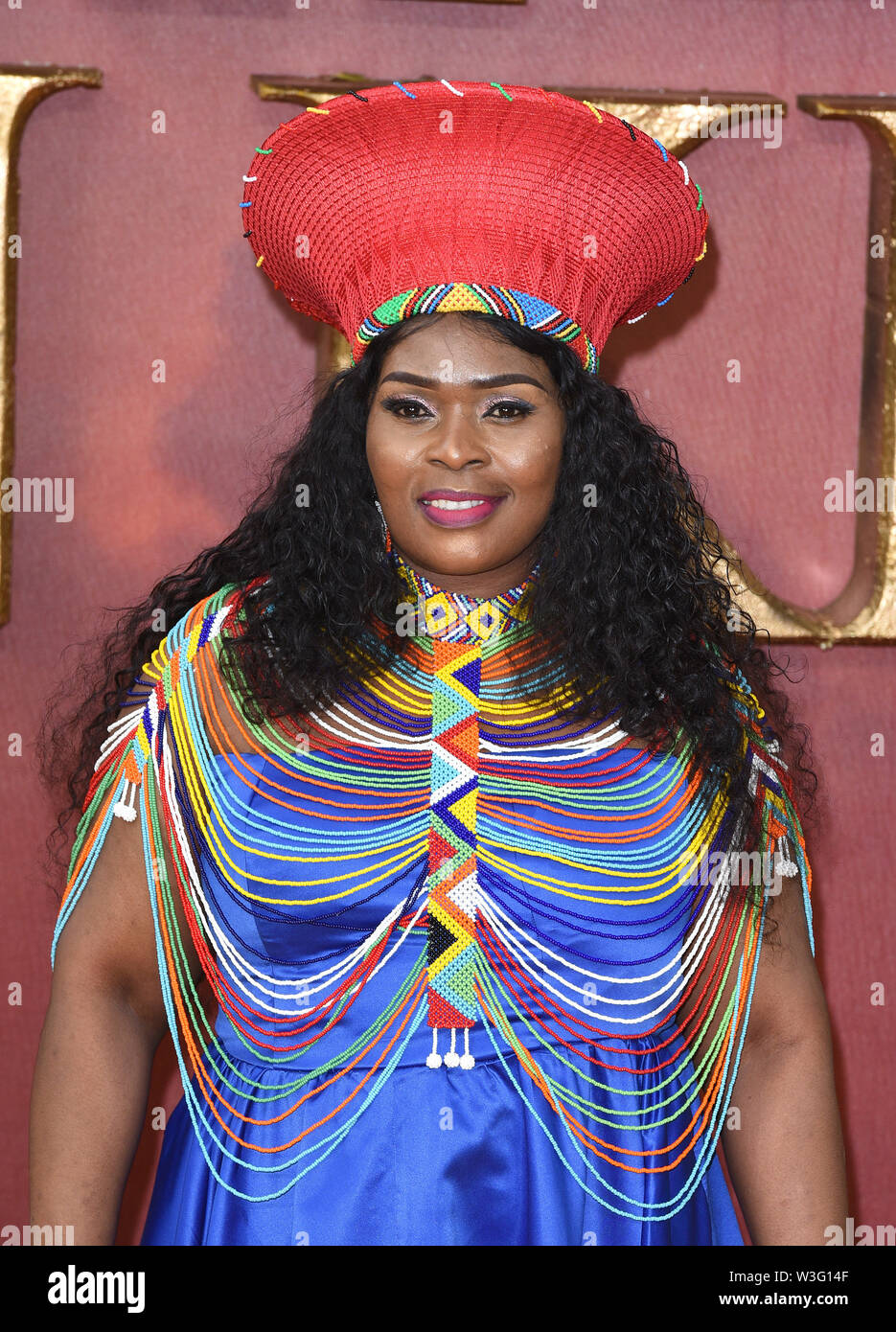 Lindiwe mkhize hi-res stock photography and images - Alamy