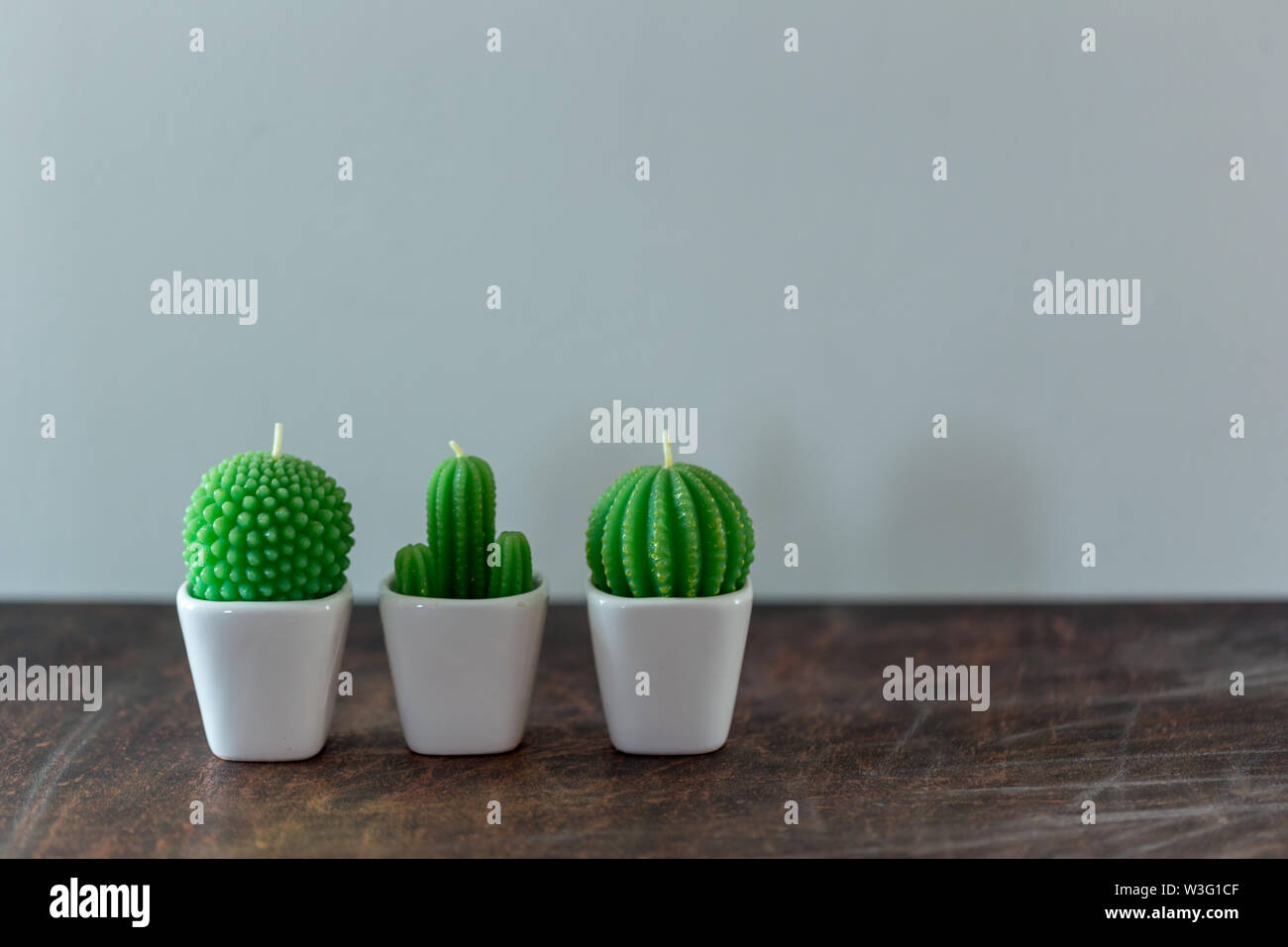 Candlestick Cactus High Resolution Stock Photography and Images - Alamy