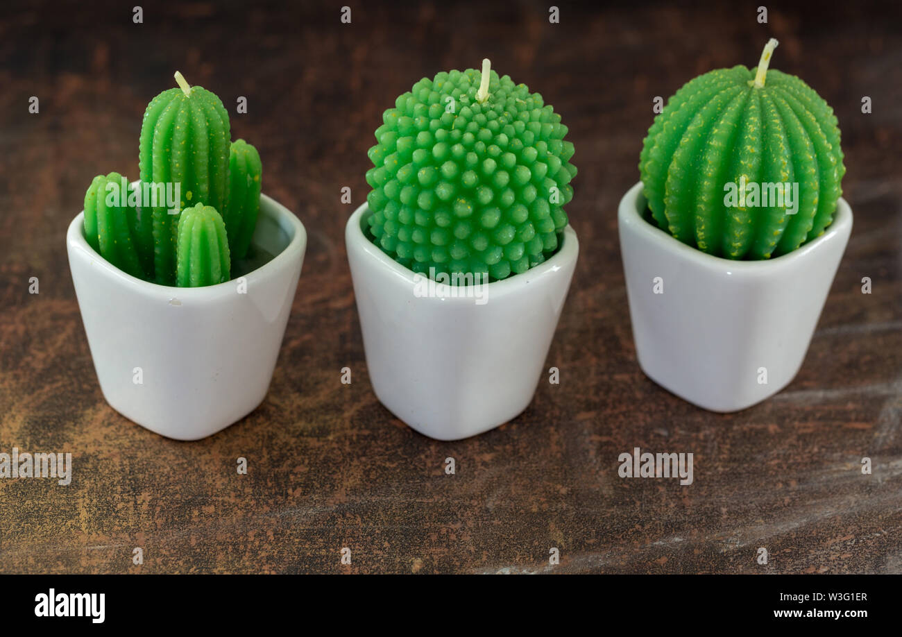 three candles in cactus form Stock Photo - Alamy