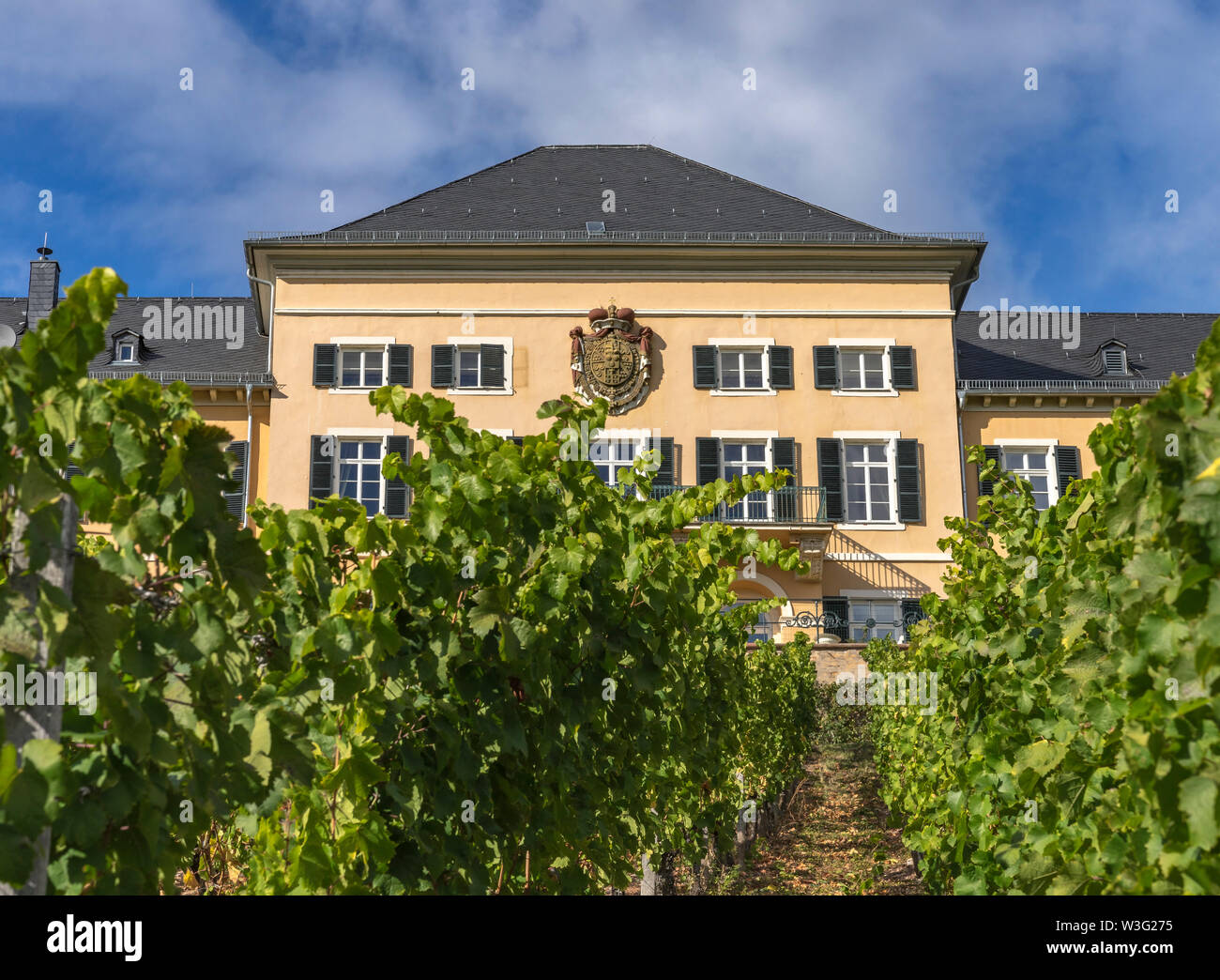 Ruedesheim Schloss Johannisberg, GERMANY, October 01, 2018: Schloss ...