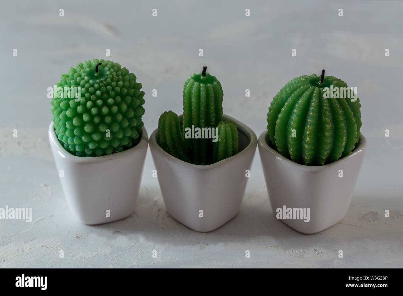 Candlestick cactus hi-res stock photography and images - Alamy
