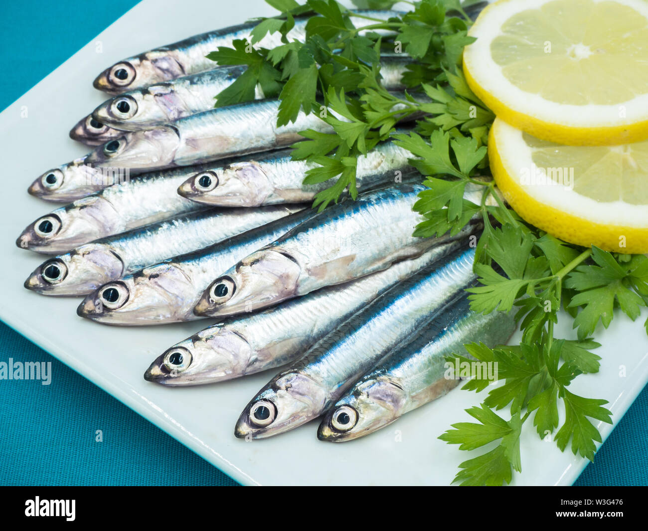 Seafish hi-res stock photography and images - Alamy