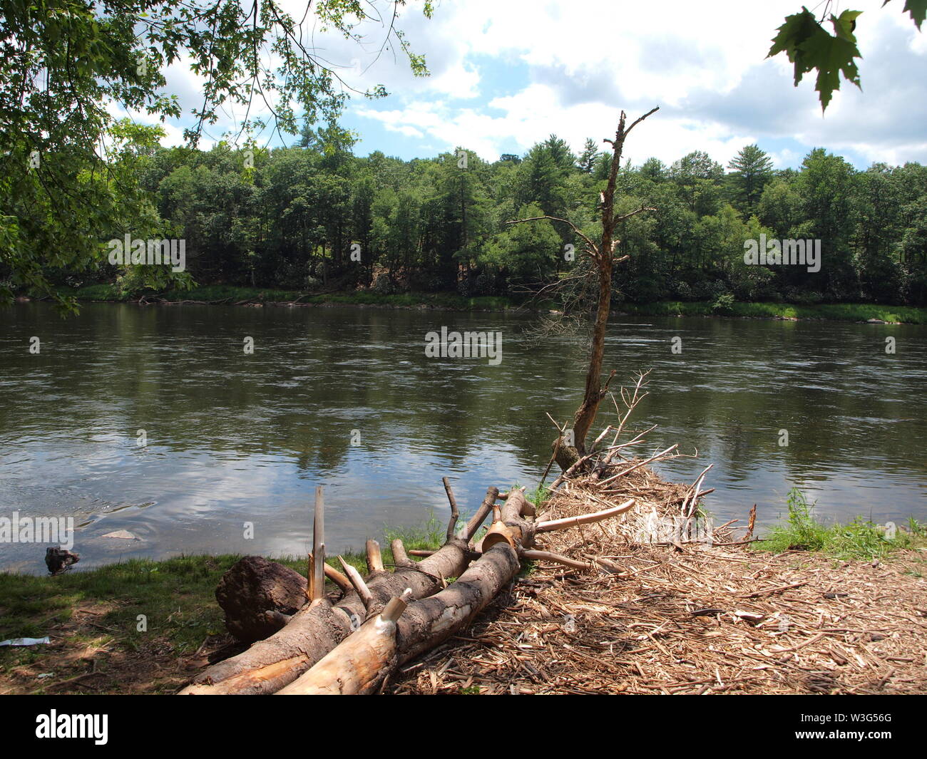 Dead log on river bank hi-res stock photography and images - Alamy