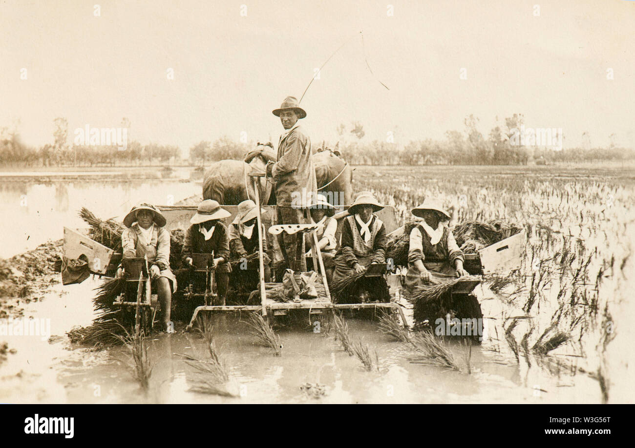 Poverty woman 1930s hi-res stock photography and images - Alamy