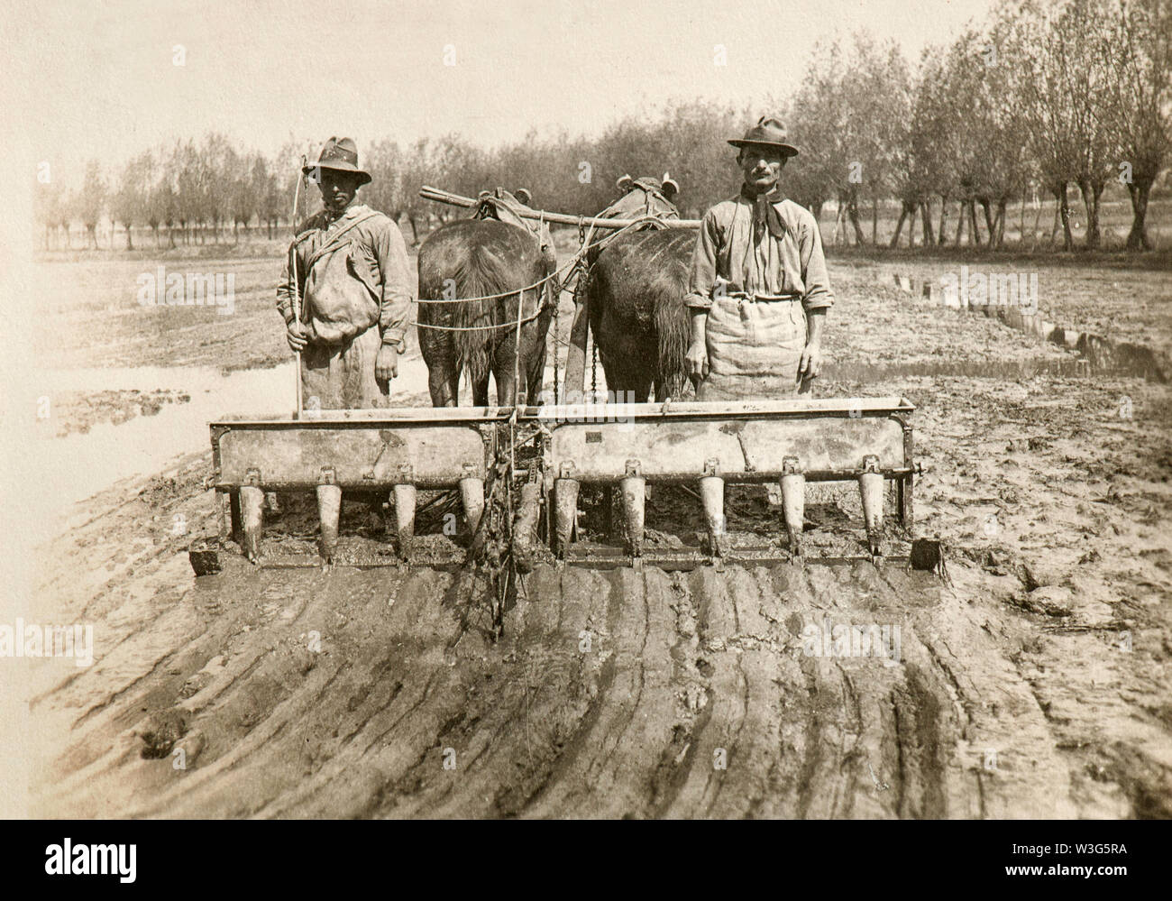 Italian rural world of the past: working activities in rice fields ...