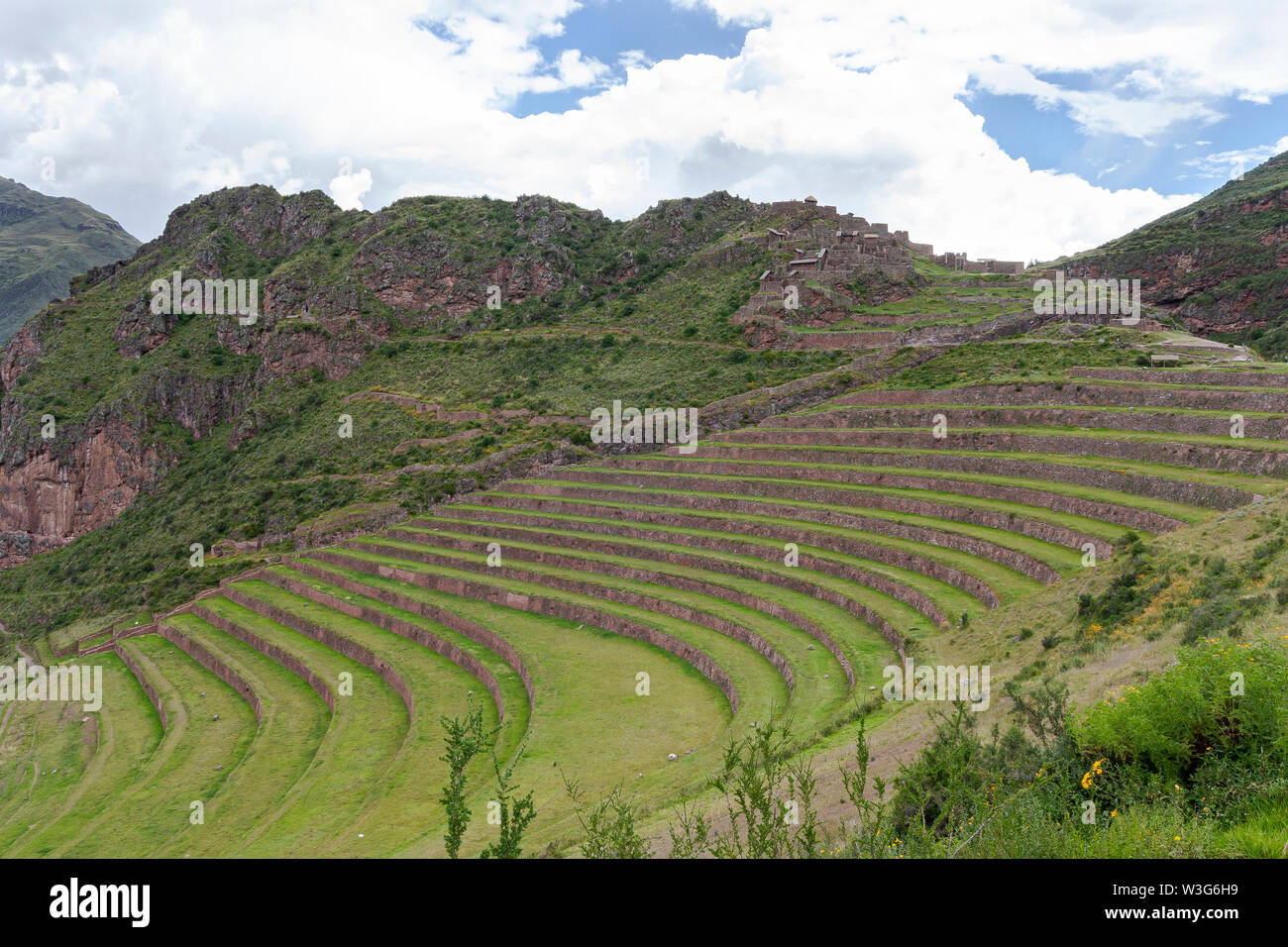 Terrace Farming Andes