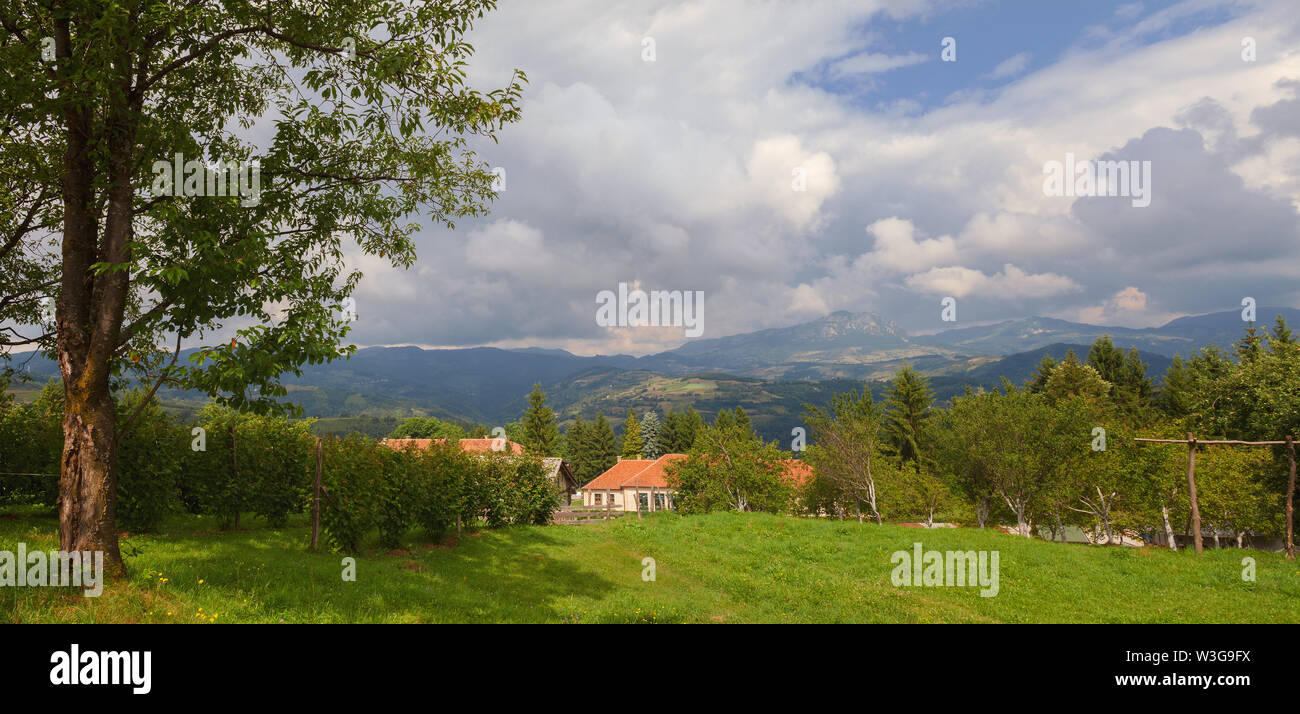 Landscape of raspberries fields, village lifestyle in Serbia during ...