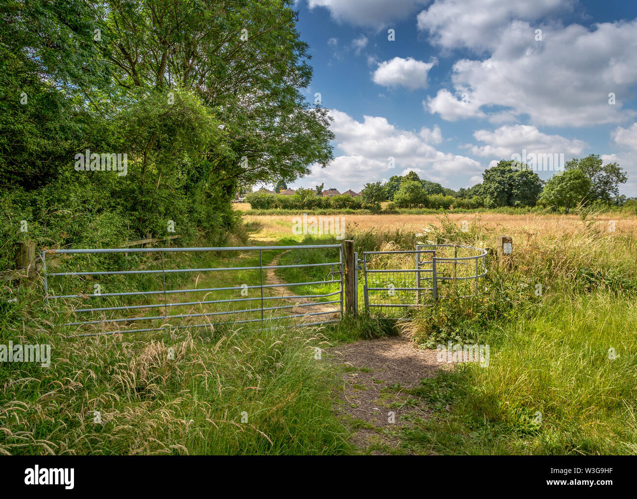 Nature reserve surrounding Forge Mill and Bordesley Abbey in Redditch ...