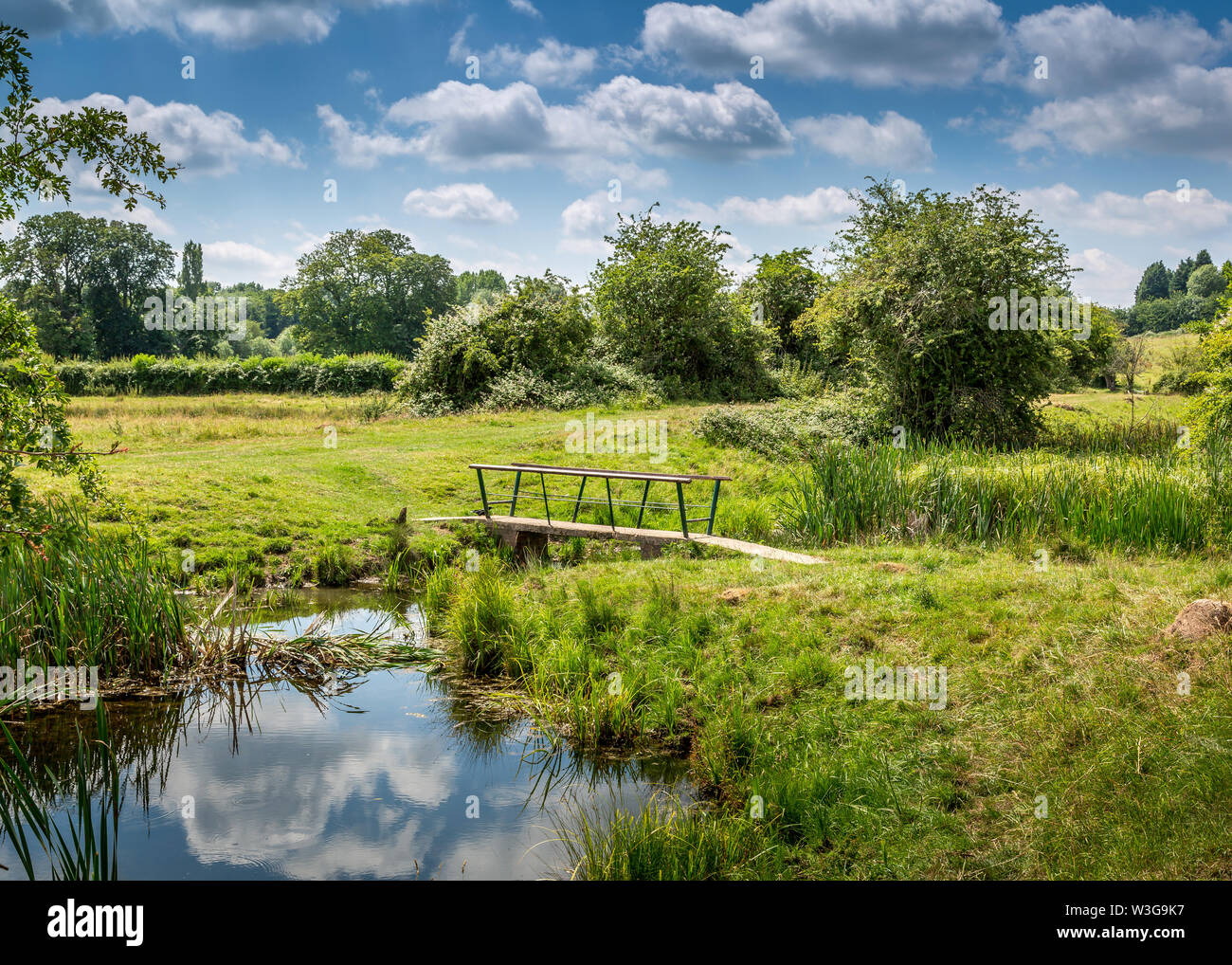 Nature reserve surrounding Forge Mill and Bordesley Abbey in Redditch ...