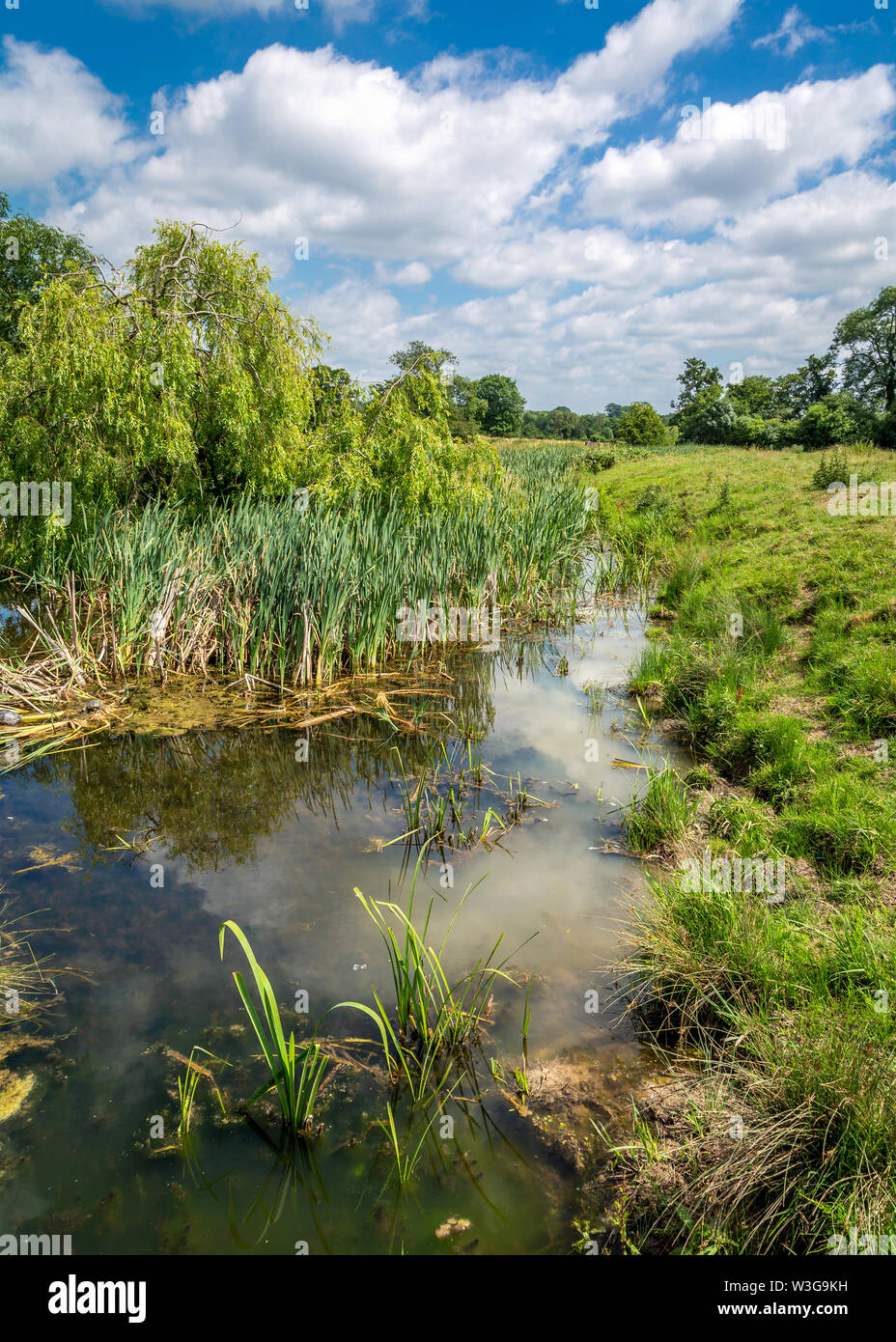Nature reserve surrounding Forge Mill and Bordesley Abbey in Redditch ...