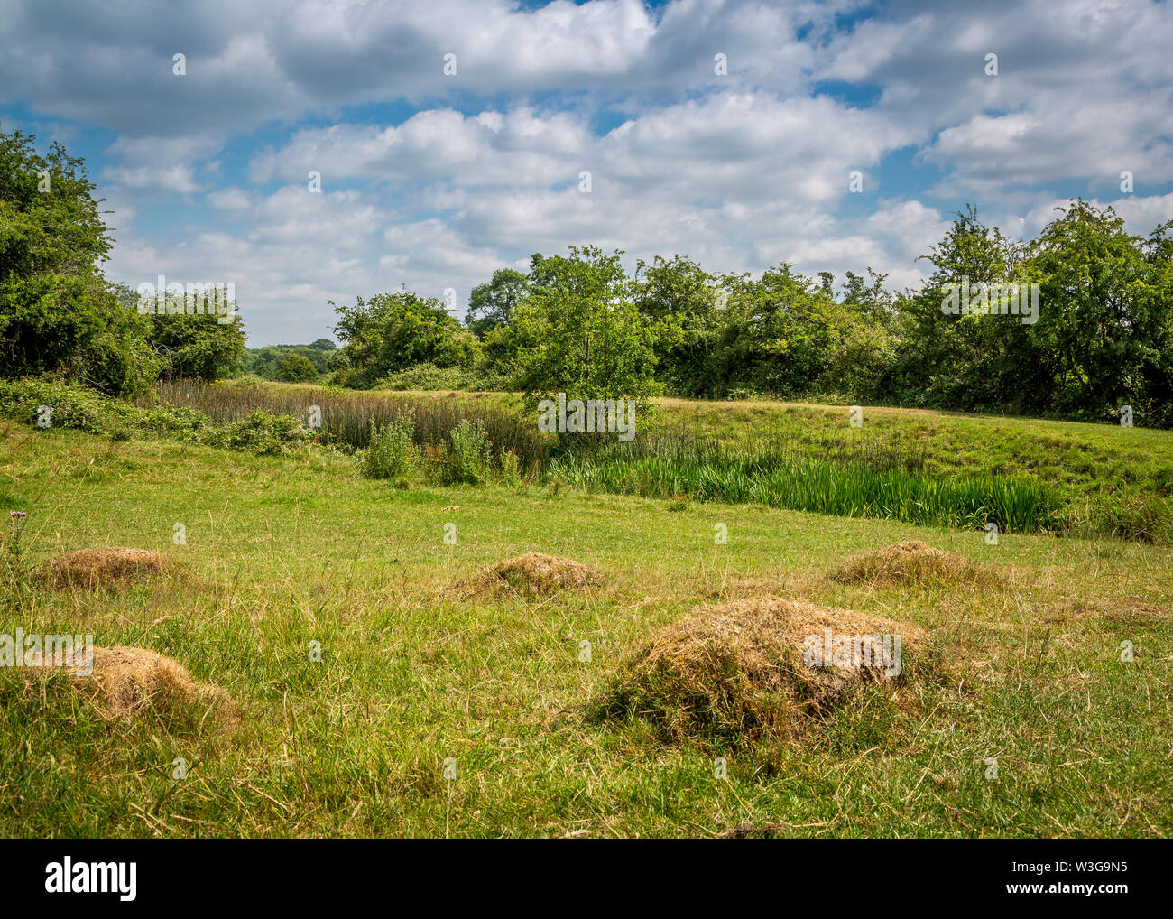 Nature reserve surrounding Forge Mill and Bordesley Abbey in Redditch ...
