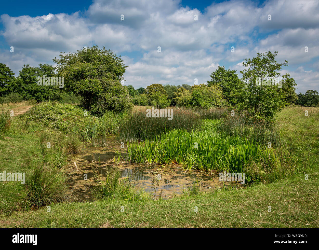 Nature reserve surrounding Forge Mill and Bordesley Abbey in Redditch ...