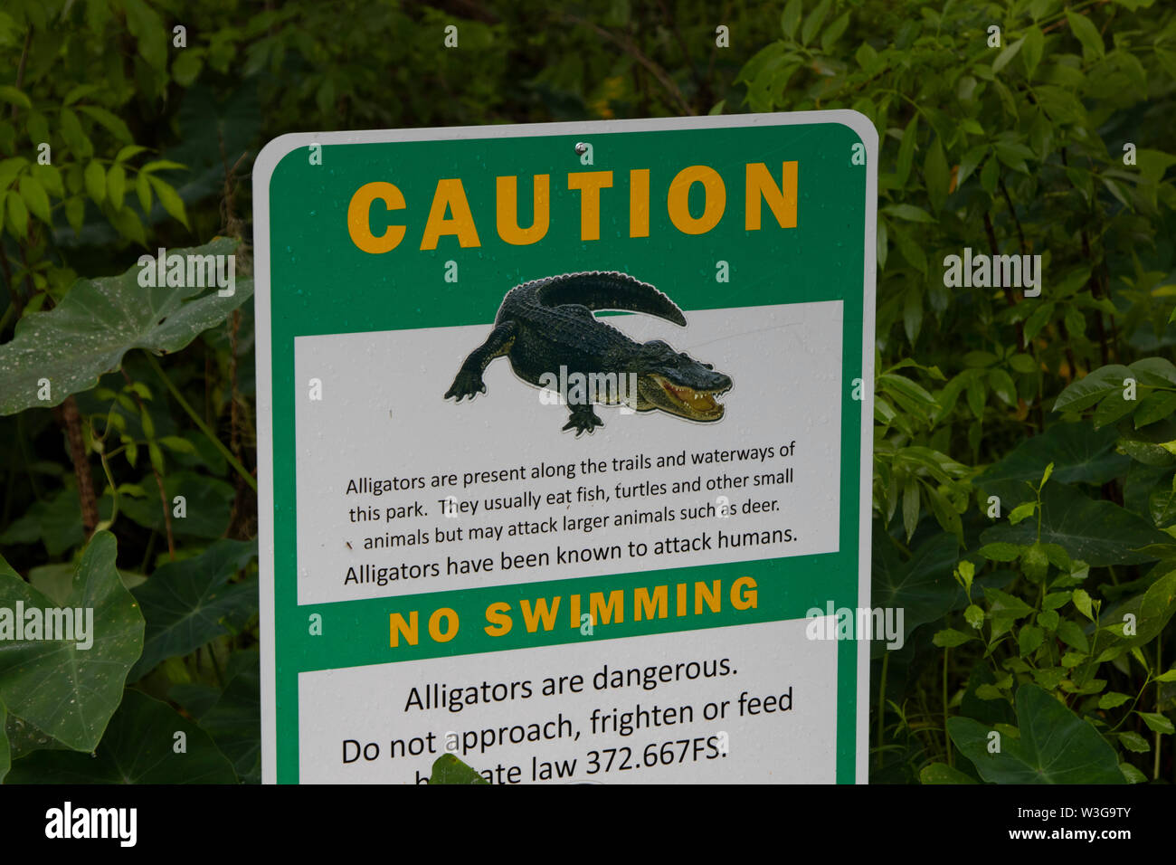 Alligator warning sign danger hi-res stock photography and images - Alamy