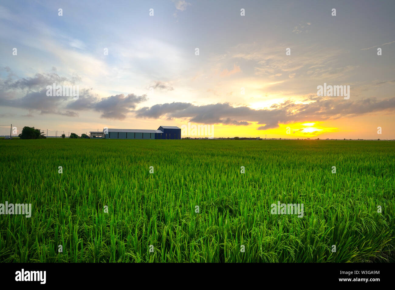 Concept rural livelihood farming hi-res stock photography and images ...