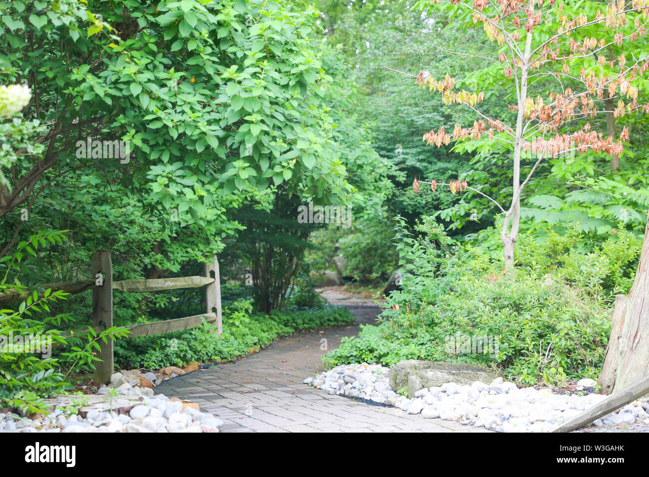 pedestrian path in the garden, green grass. - Image Stock Photo - Alamy