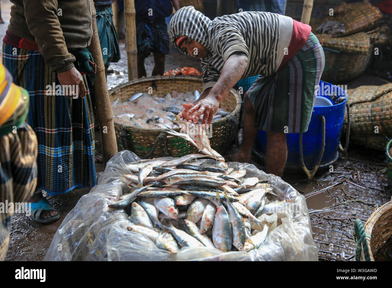 Fish market at Maoa in Munshiganj. Bangladesh Stock Photo - Alamy