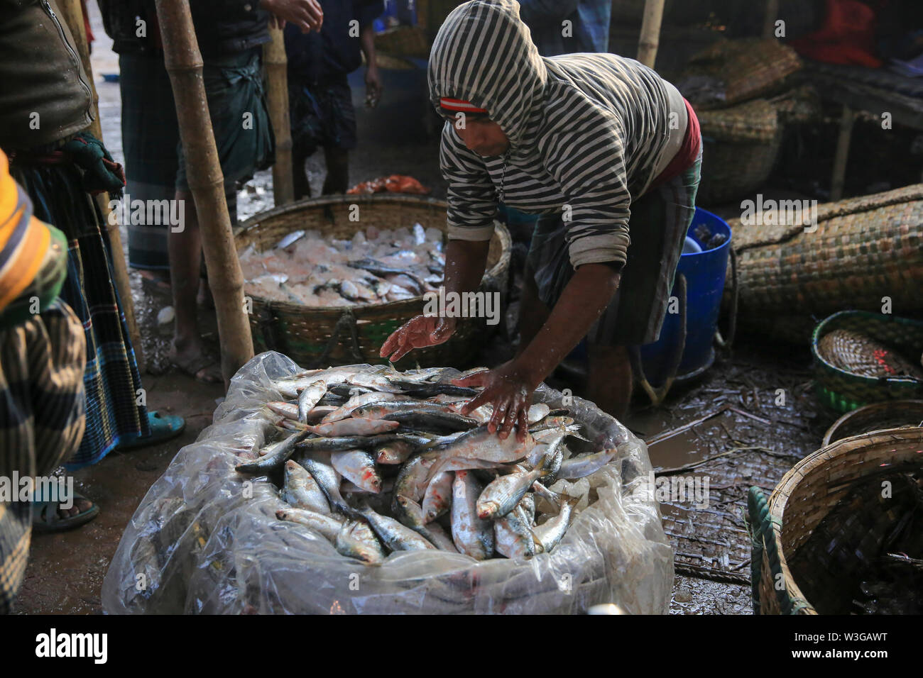 Bangladeshi ilisha fish hi-res stock photography and images - Alamy