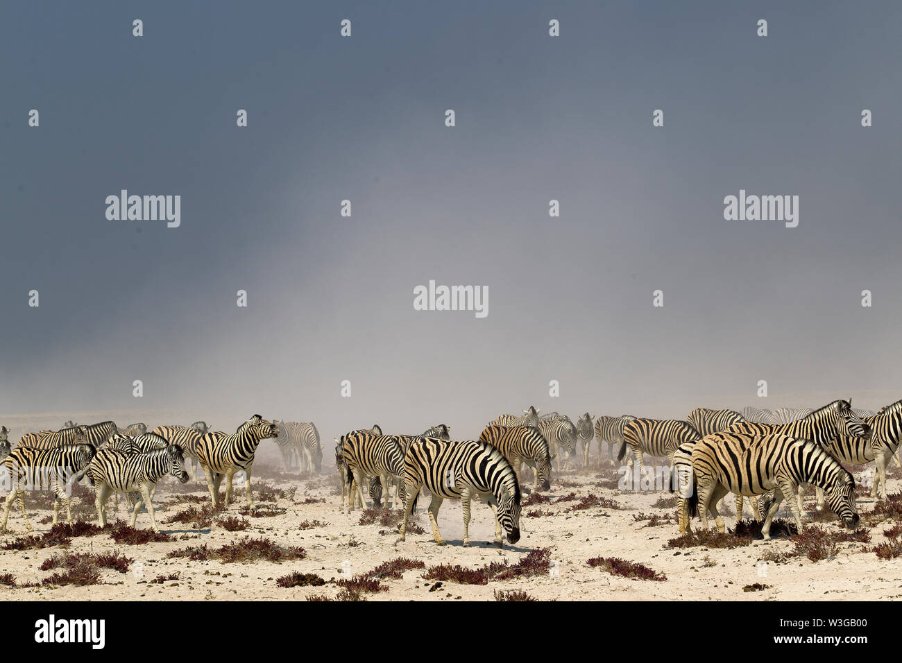Dust storm africa hi-res stock photography and images - Alamy