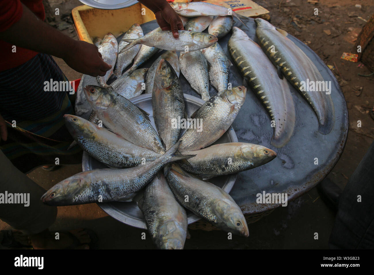 Bangladeshi fish market hi-res stock photography and images - Alamy