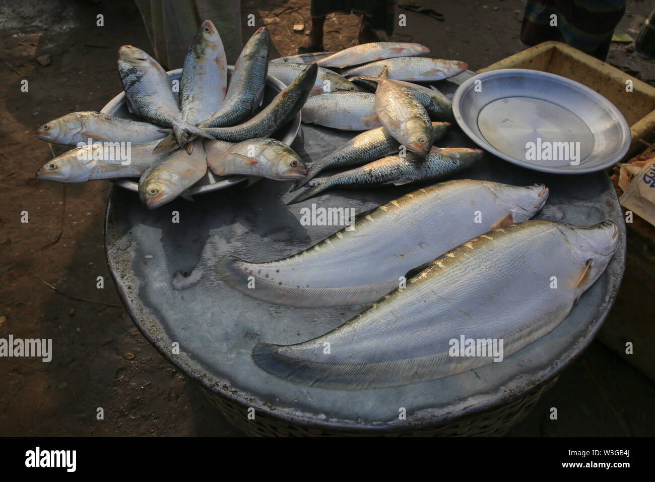 Fish market at Maoa in Munshiganj. Bangladesh Stock Photo - Alamy