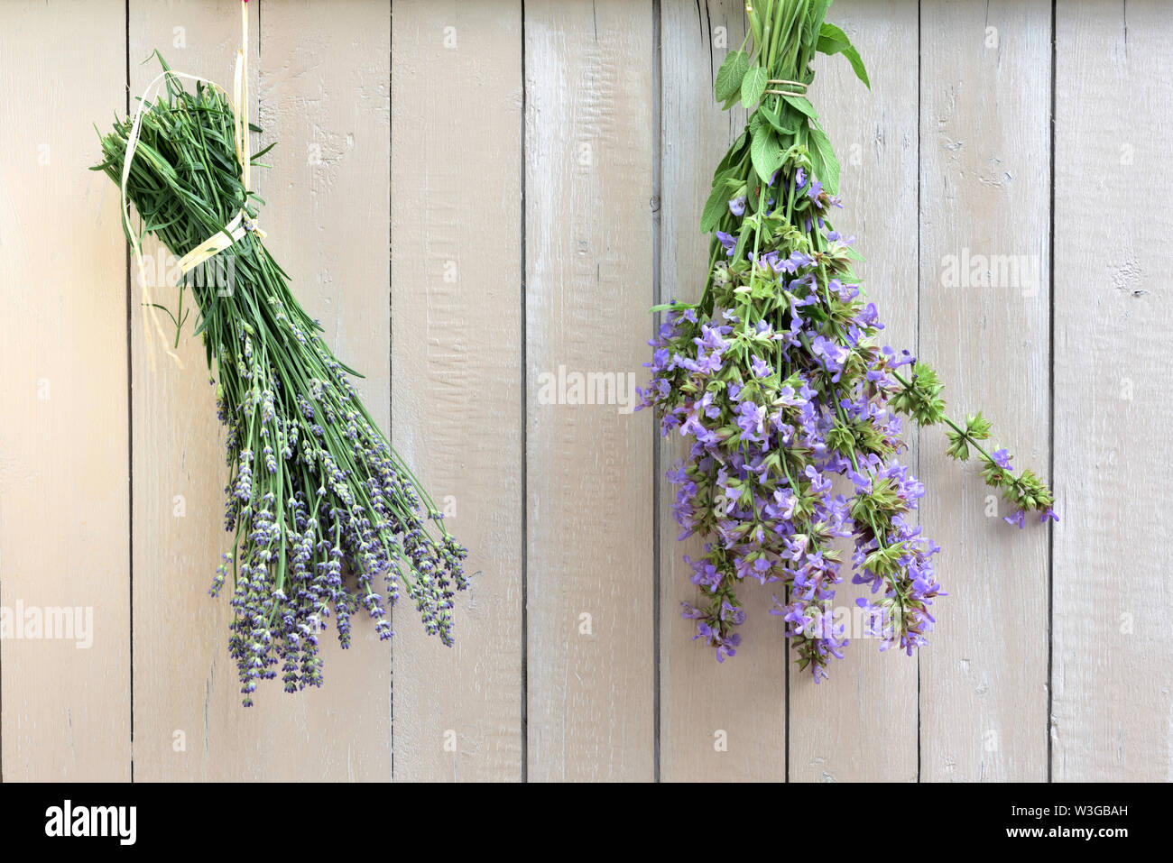 Hanging lavender to dry hi-res stock photography and images - Alamy
