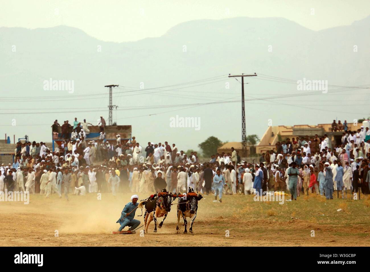 Bull race hi-res stock photography and images - Alamy