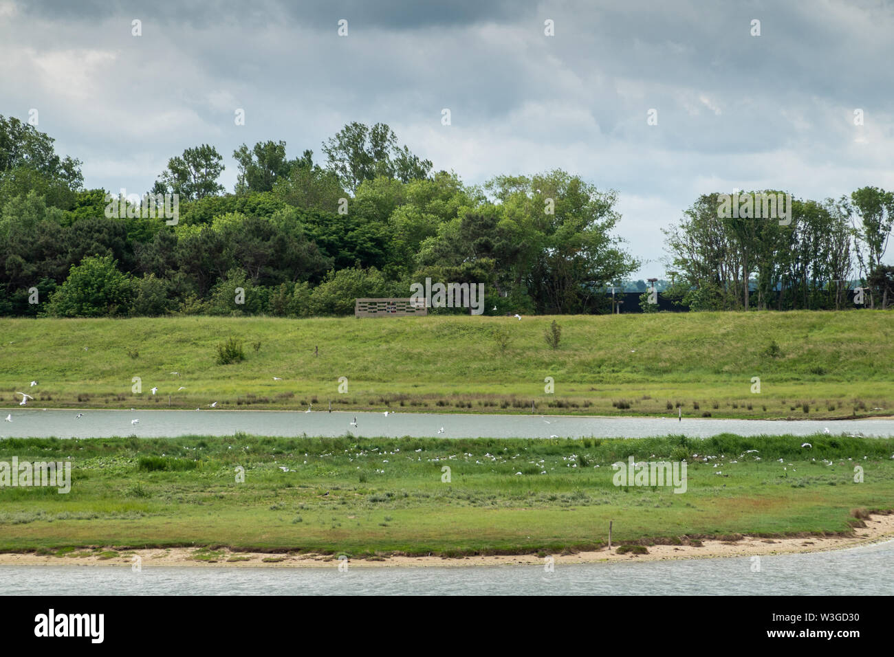 Flanders Plain High Resolution Stock Photography and Images - Alamy