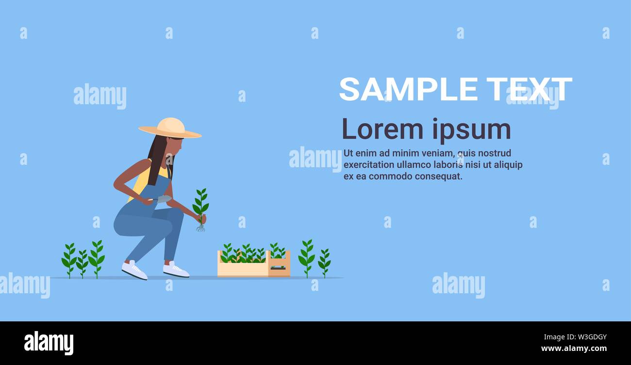 female farmer planting agriculture seedlings african american woman ...