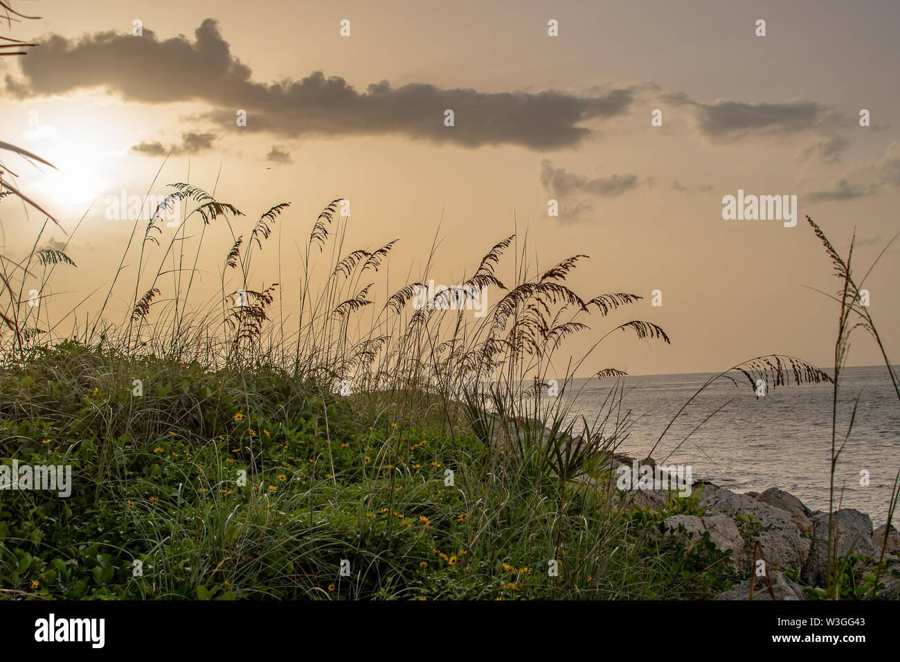 Gulf mexico beach orange hi-res stock photography and images - Alamy