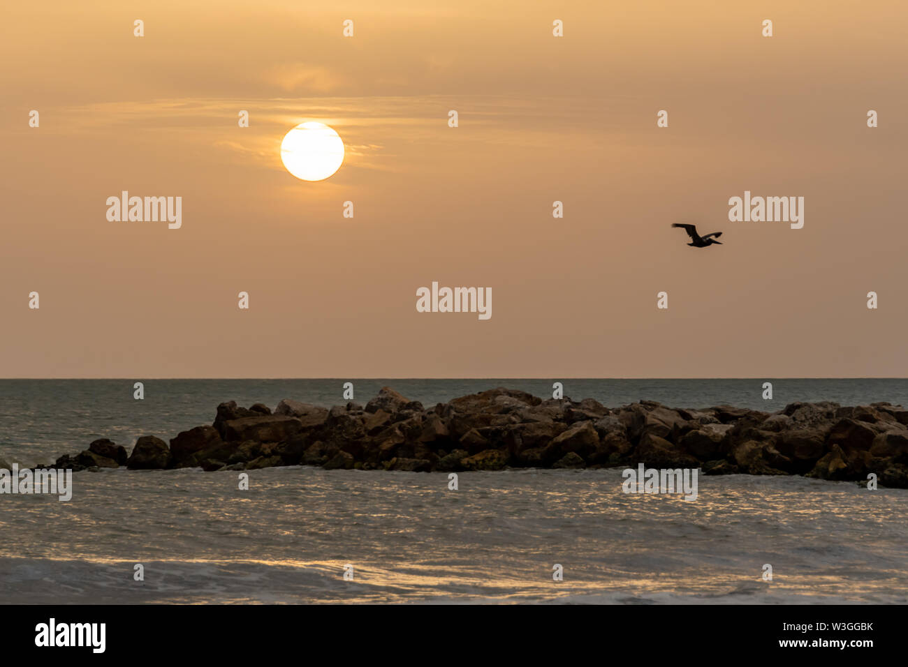 Red sun over horizon bird hi-res stock photography and images - Alamy
