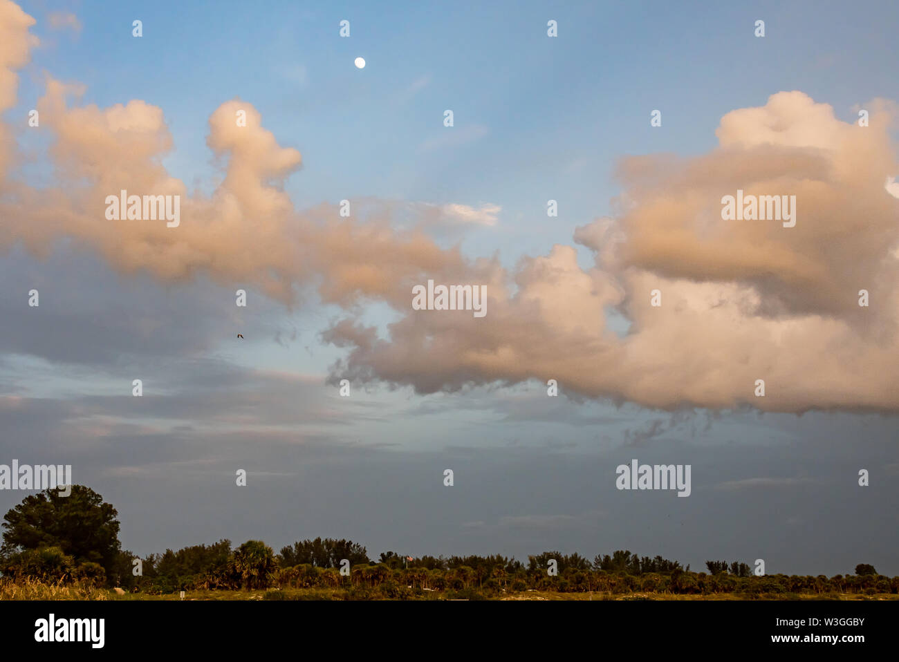 Moon sky day florida hi-res stock photography and images - Alamy