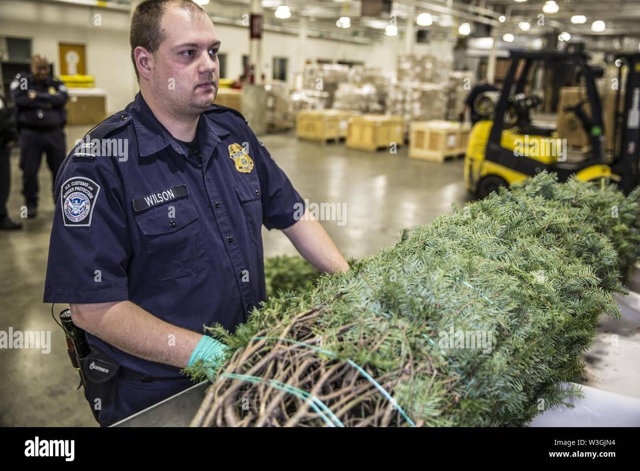 Christmas Tree Shake - 44446751200 Stock Photo - Alamy