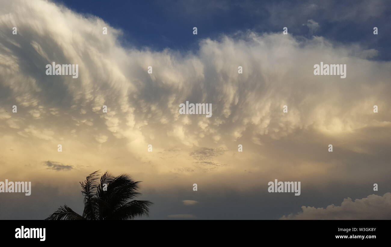 Beautiful summer sunset while forms an storm Stock Photo - Alamy
