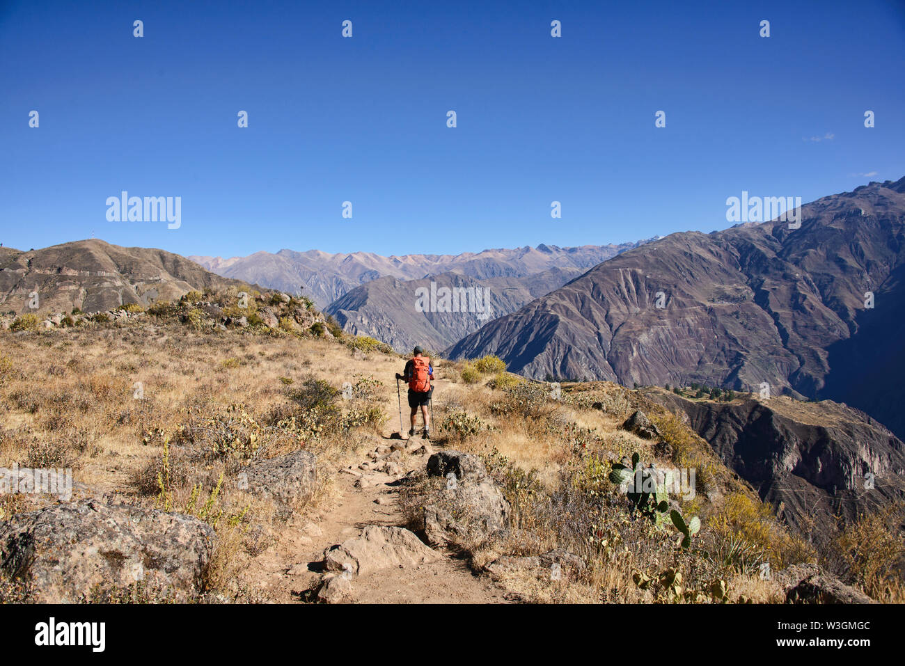 Trekking into the Colca Canyon, Cabanaconde, Peru Stock Photo - Alamy