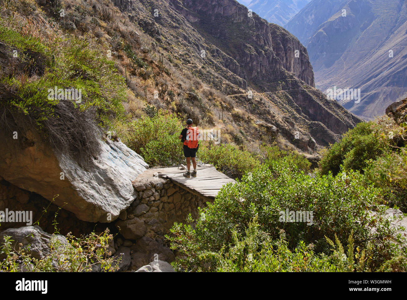 Trekking into the Colca Canyon, Cabanaconde, Peru Stock Photo - Alamy