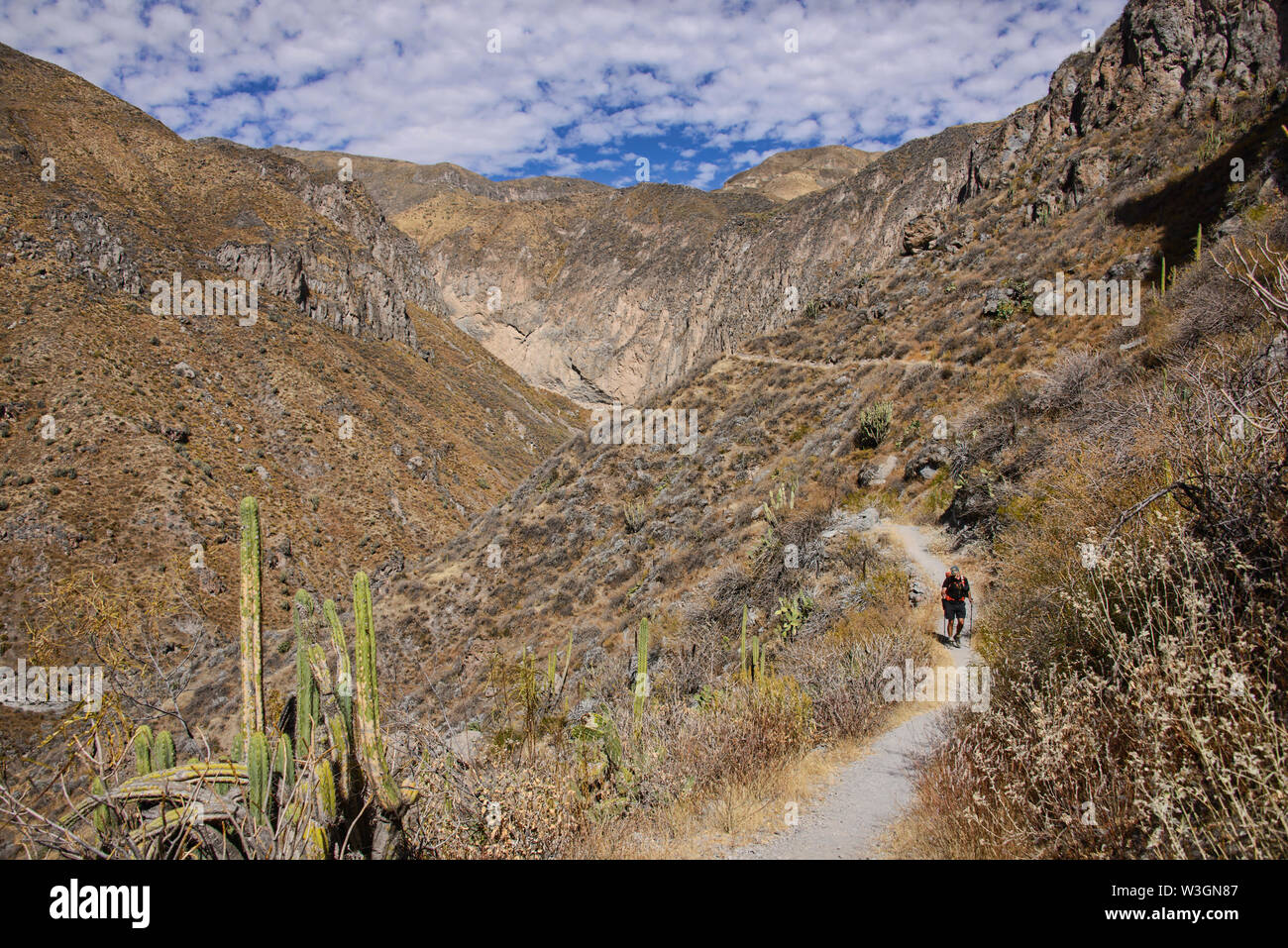 Trekking into the Colca Canyon, Cabanaconde, Peru Stock Photo - Alamy