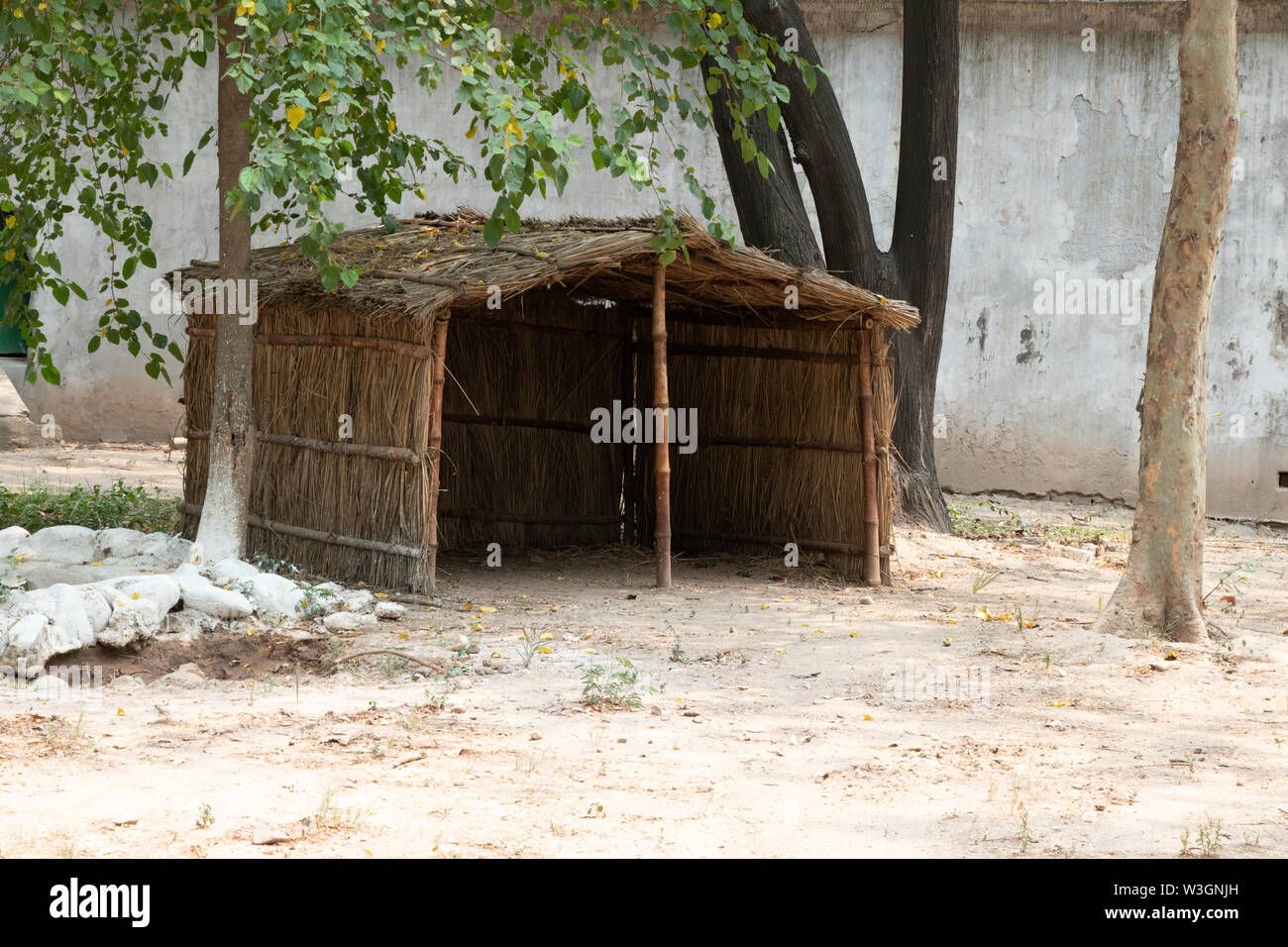 Animal shelter building hi-res stock photography and images - Alamy