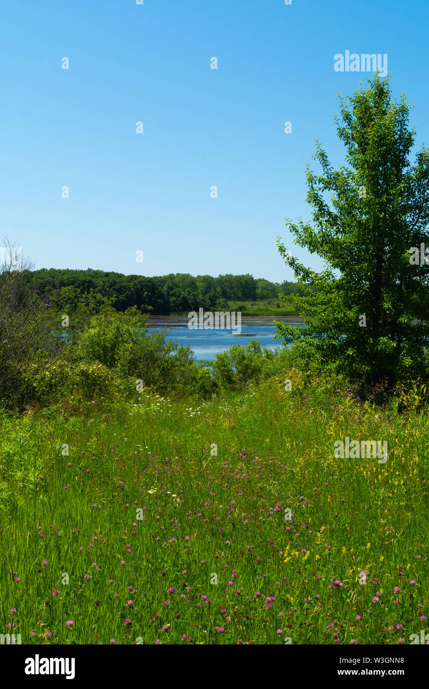 Bong recreation area hi-res stock photography and images - Alamy