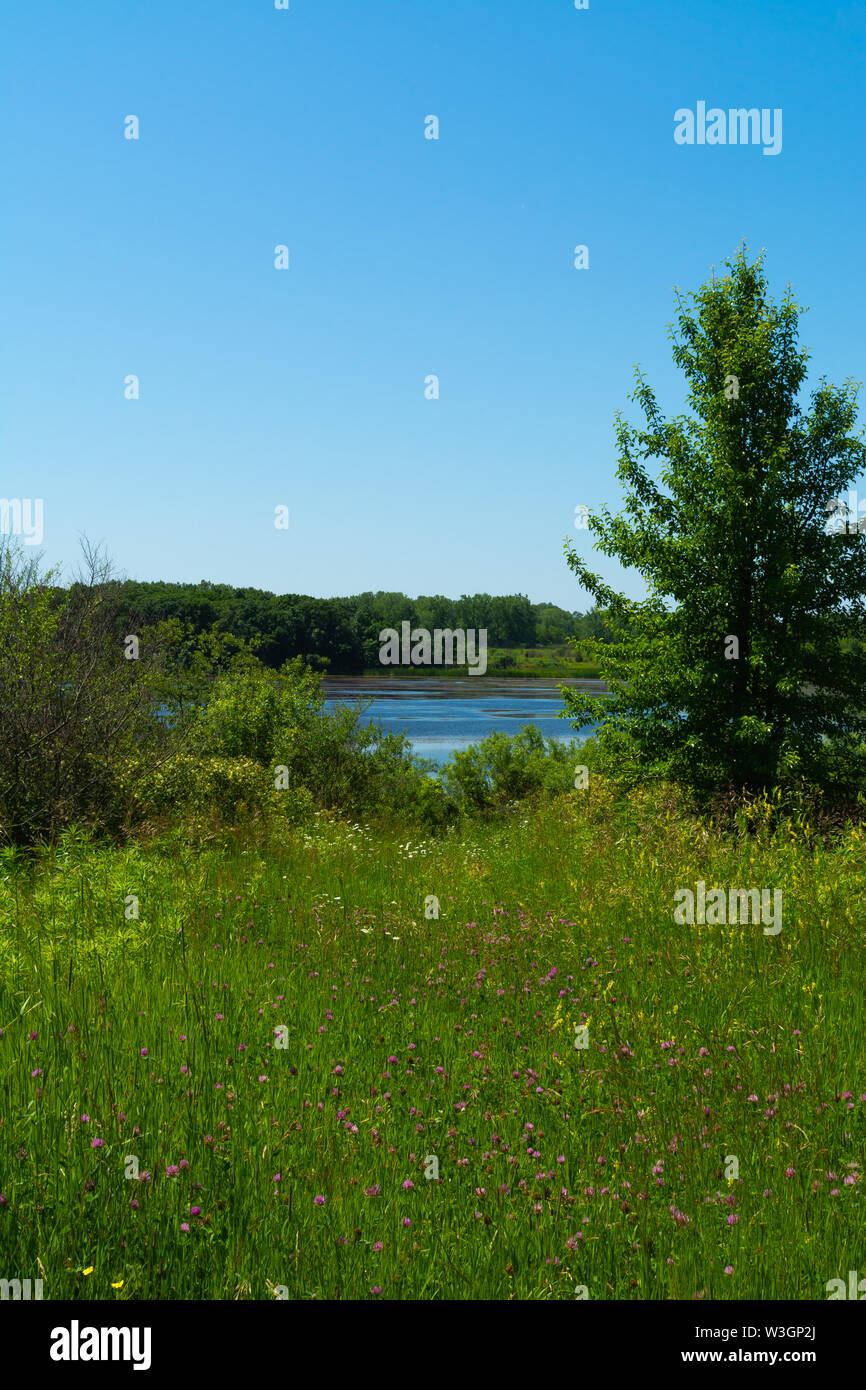 Richard bong state recreational area hi-res stock photography and ...
