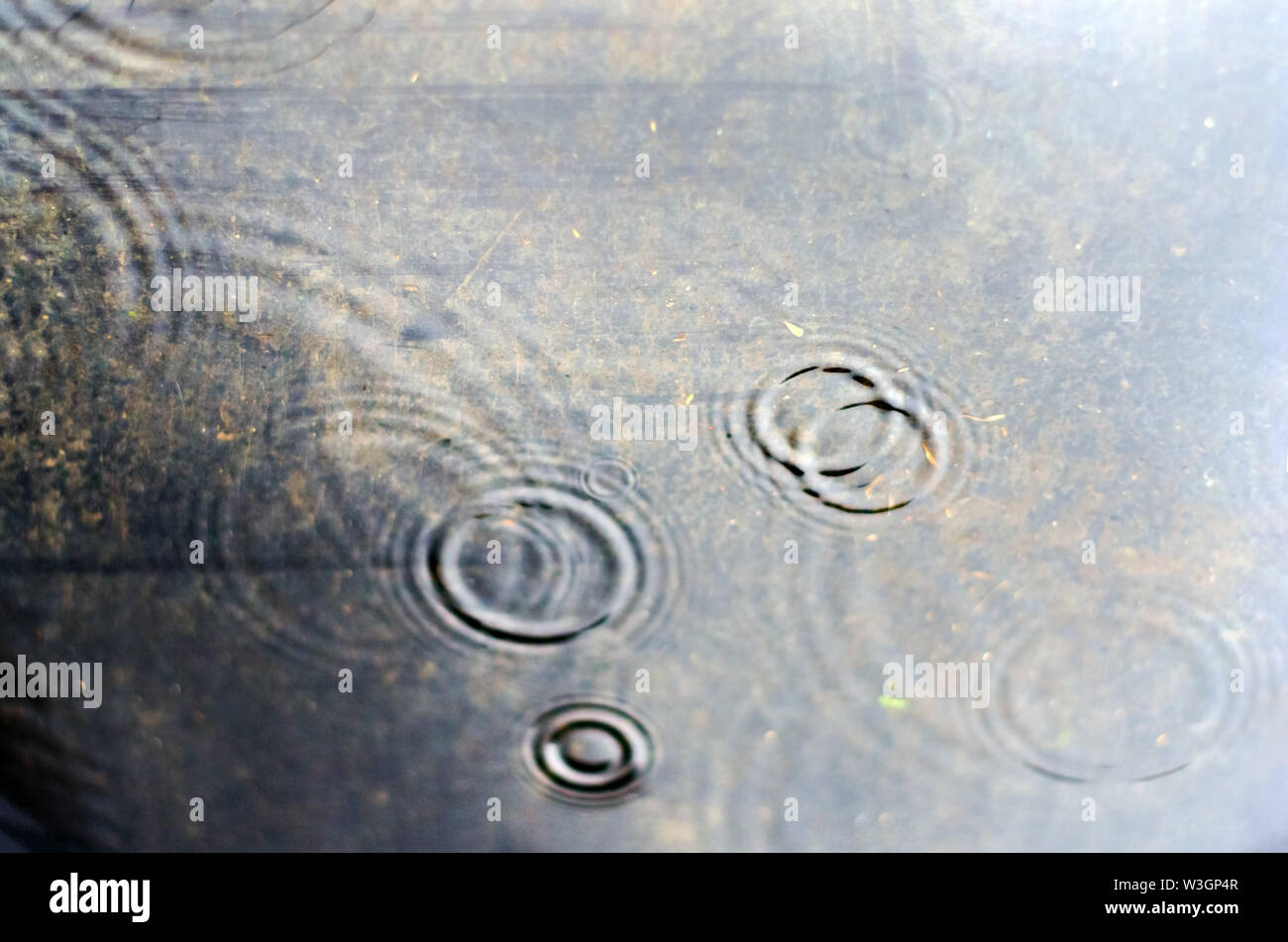 Ripples in the Surface of a Puddle on a Rainy Day Stock Photo - Alamy