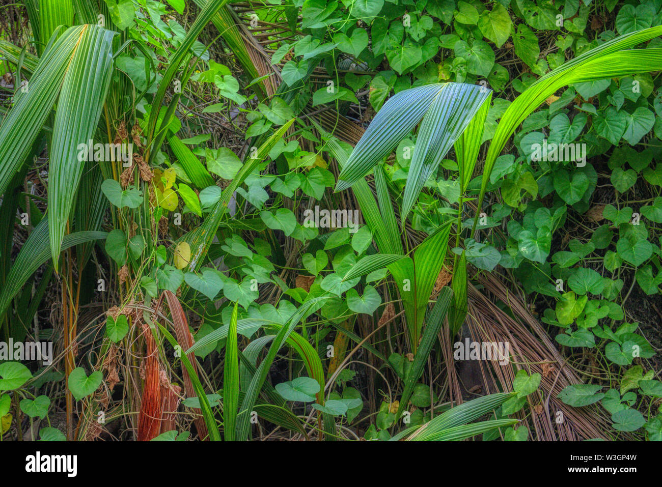 This unique photo shows the natural island texture with breathtaking ...
